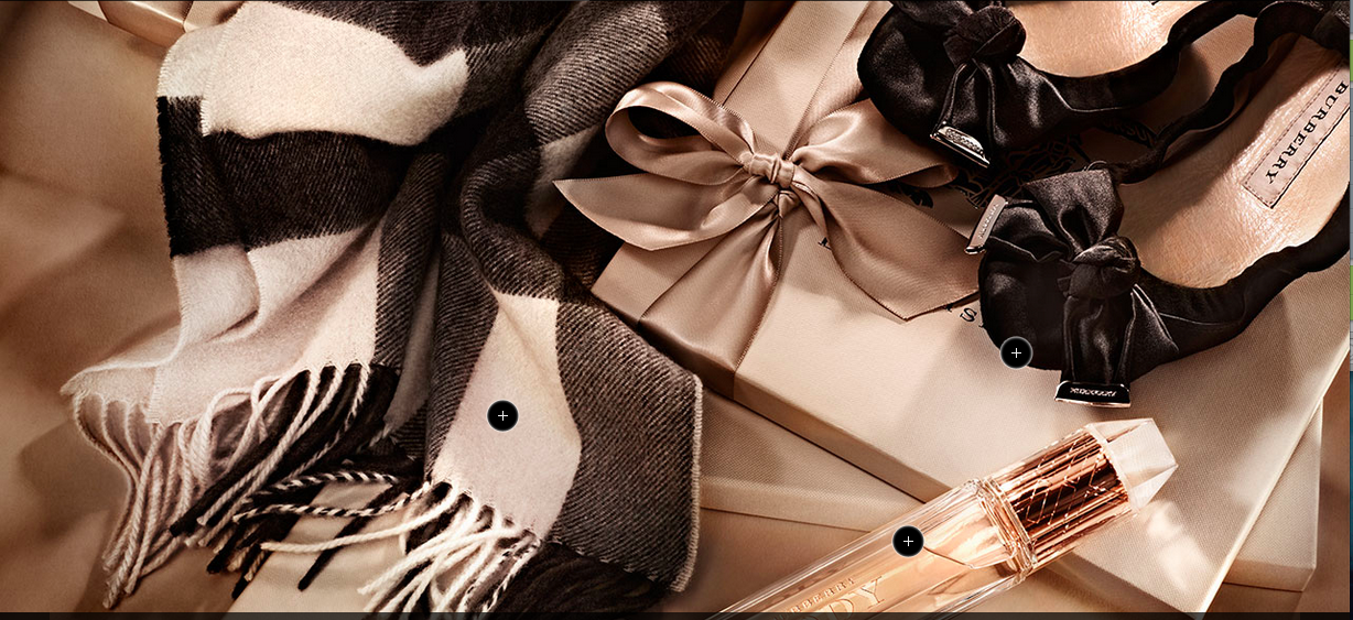 Burberry : Aesthetics of Site