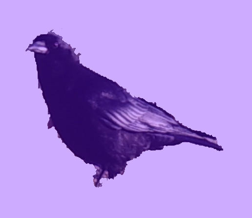 Preston Pairo (Author of The Builder)