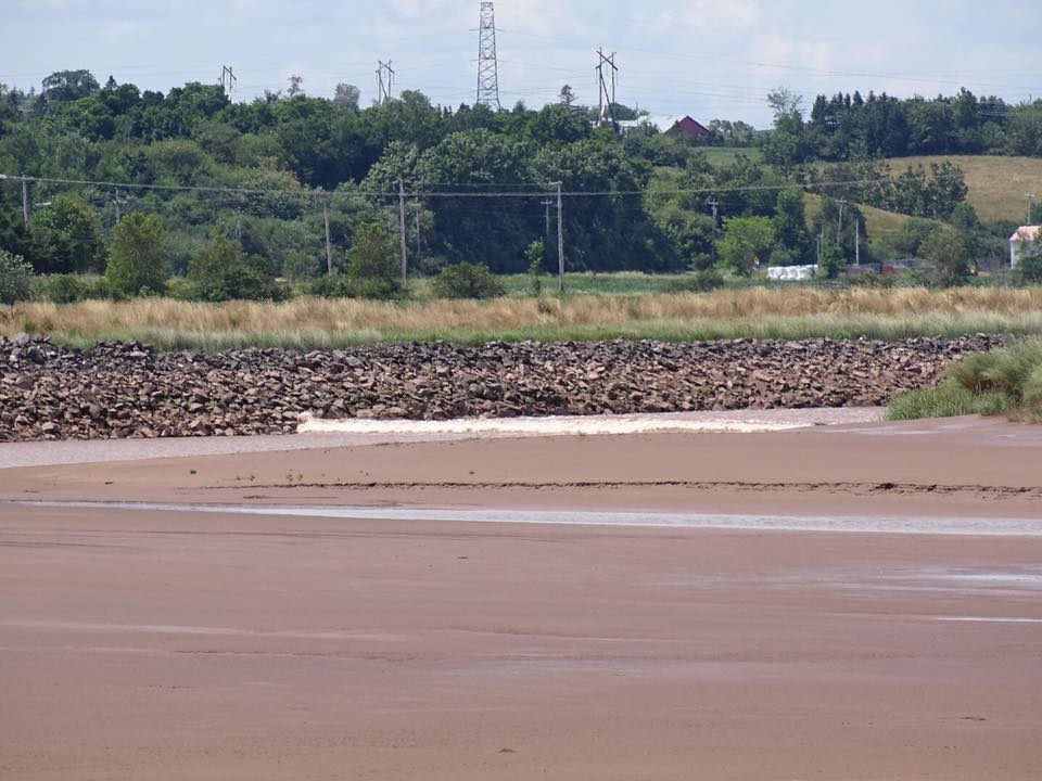 Reflections Visits Nova Scotia 2016: August 2, 2016 - - Truro Tidal Bore