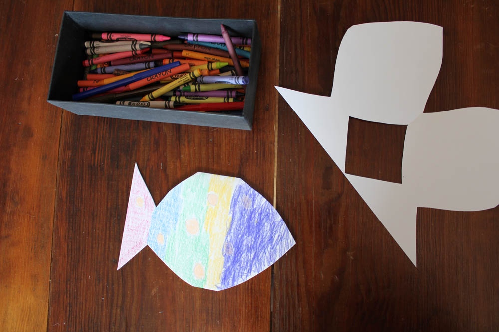 sassafras: blowfish race :: kid project