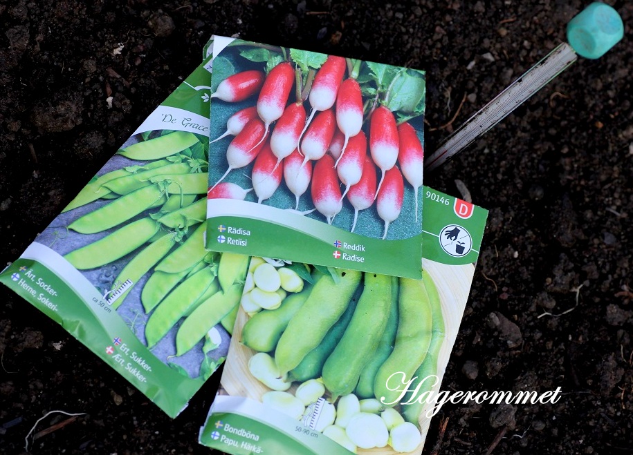 Hagerommet: Ta tempen på jorden....