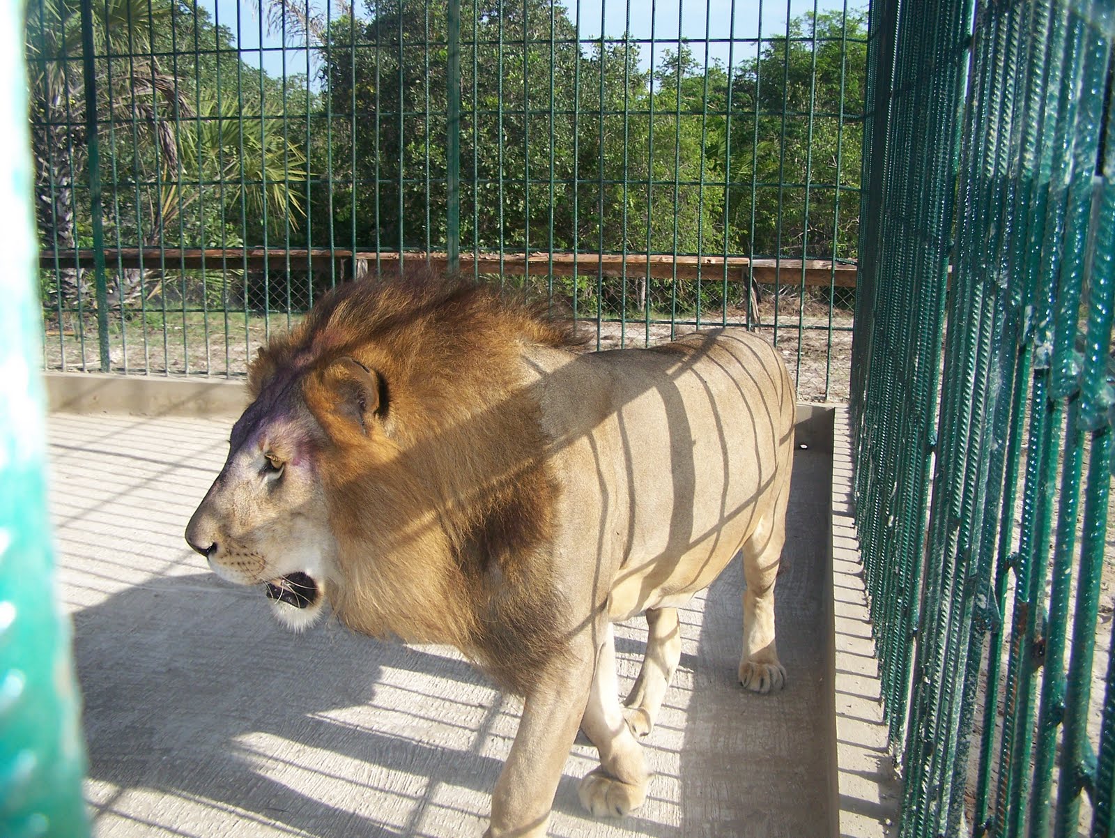 T-E-M-B-E-A Tanzania: Dar Es Salaam Zoo