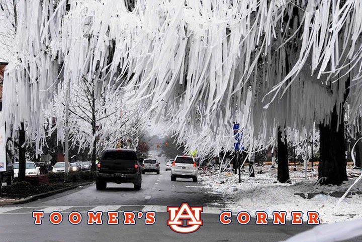 Wade's World: Toomer's Corner: An Auburn Tradition