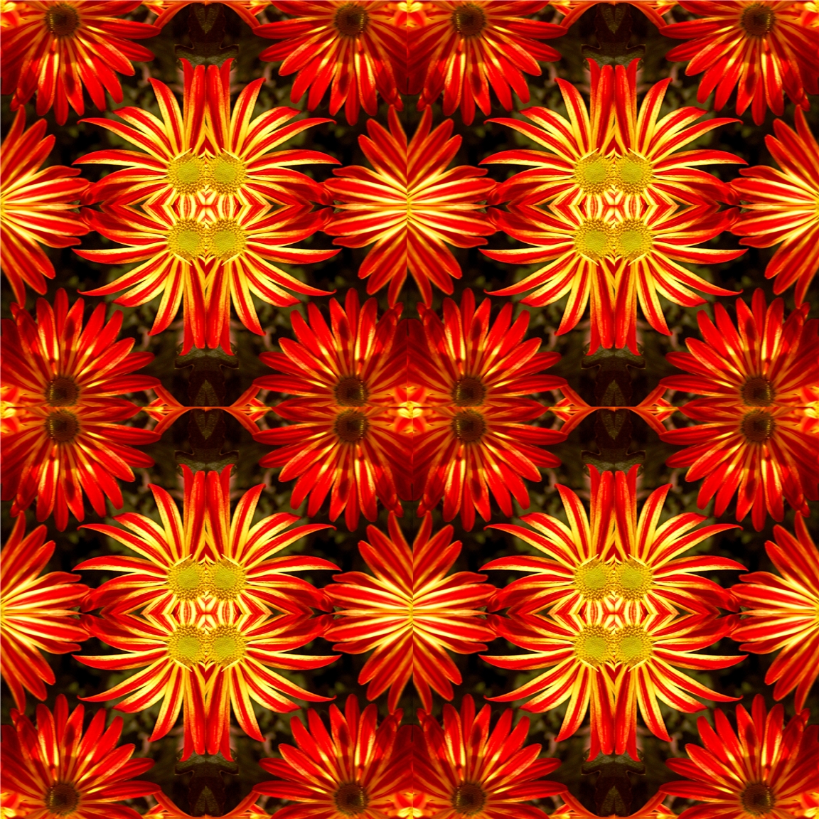 Capadia Designs: Chrysanthemums and Kaleidoscopes