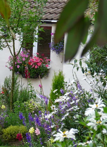 Donna's Art at Mourning Dove Cottage: Cottage window boxes