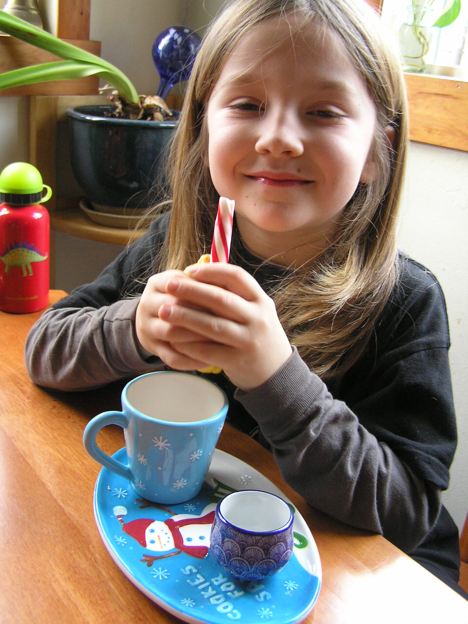 Candy Cane Lemons - A Life Unprocessed