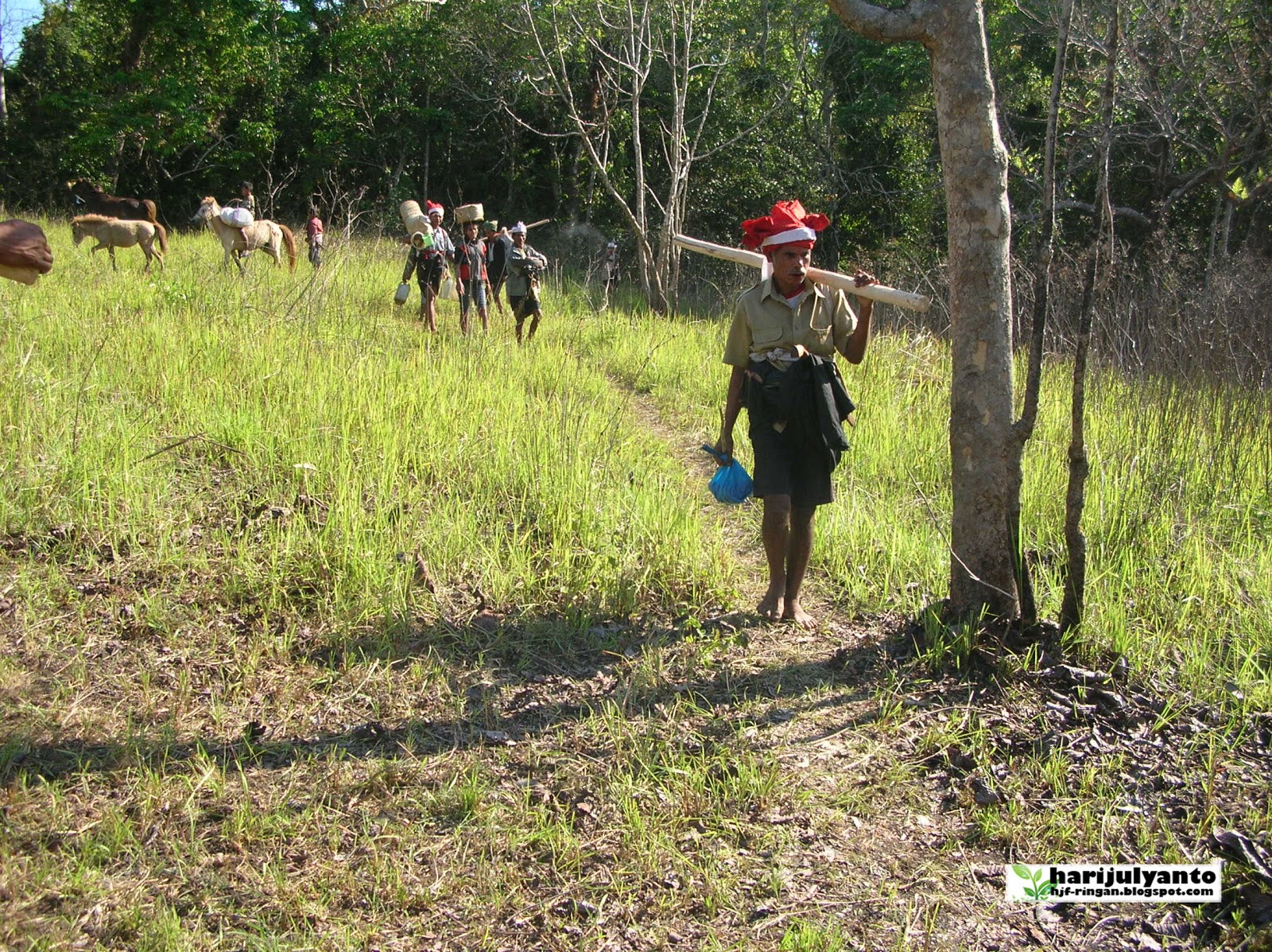 Ringan: Persembahan di Hutan Ritus ( Ritual Purung Taliang Marapu )