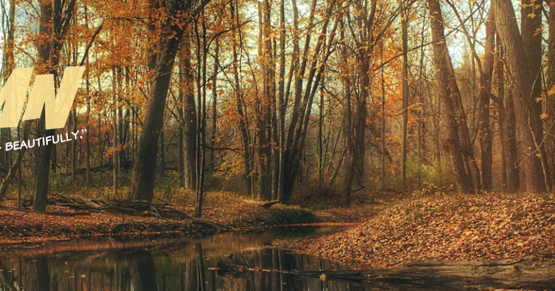 SCG - Social Media COVERS: LINKEDIN Covers: AUTUMN-themed w/quote ...