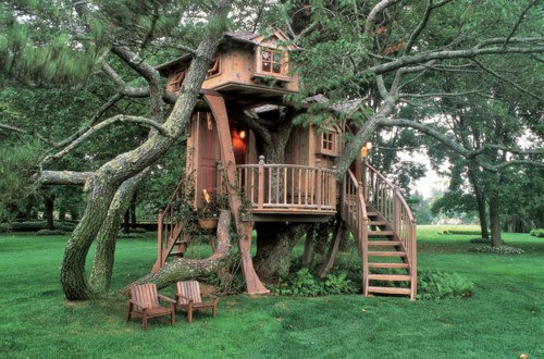 Ideas making a treehouse in the backyard