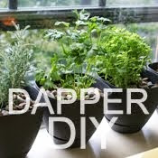 Captain Dapper: Captain Dapper Loves Lucius on NPR's Tiny Desk Concert