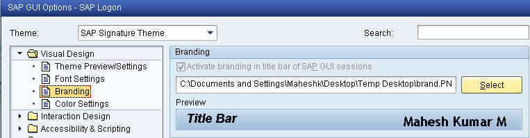 SAP GUI 730 Changing branding text | SAP Netweaver Professional