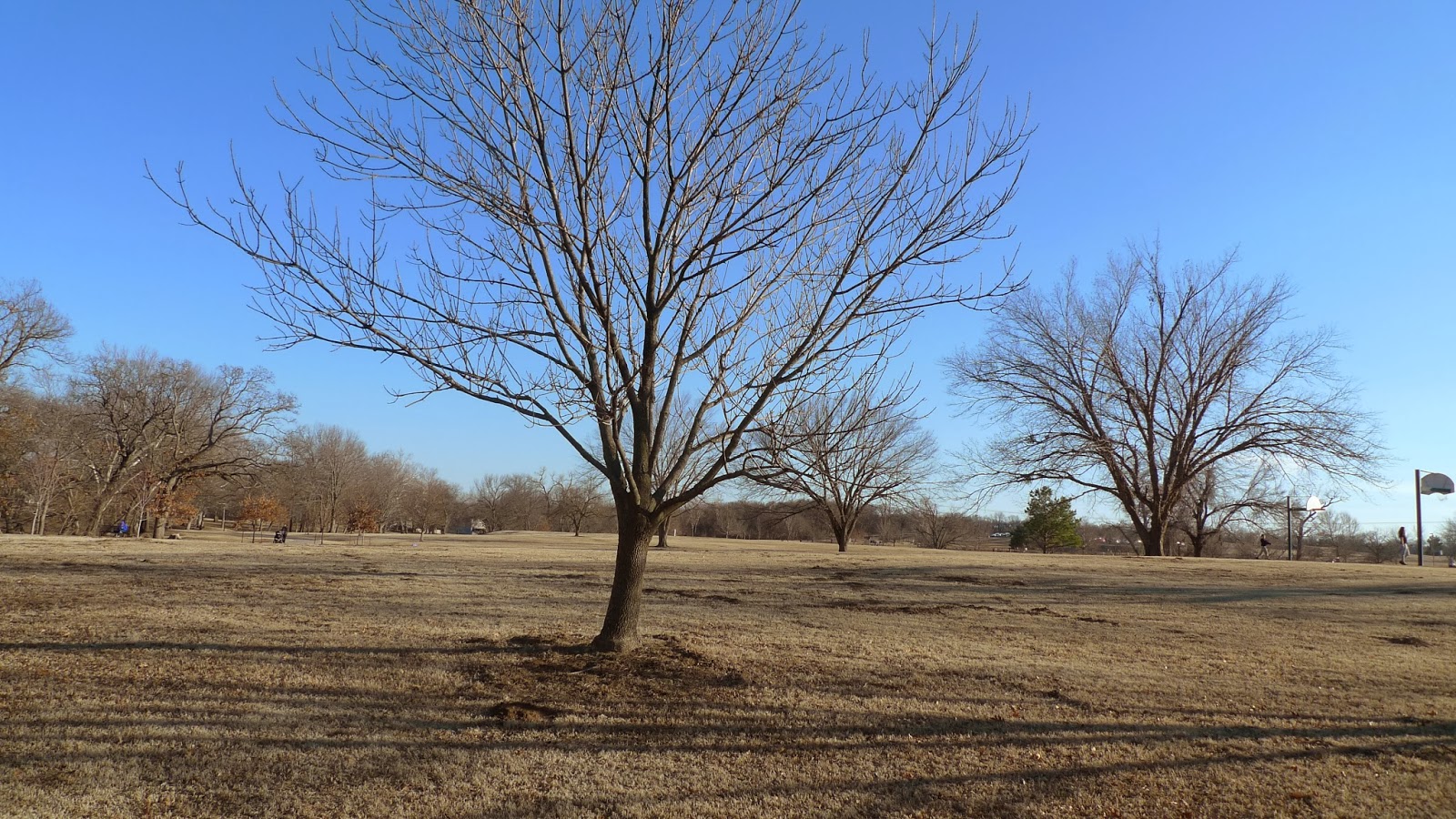 Snapshots: Some views of Hunter Park