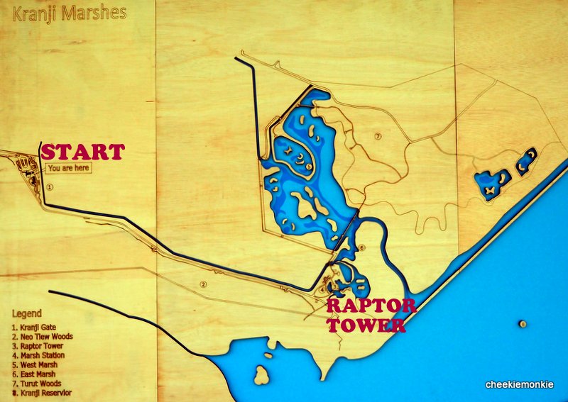 Cheekiemonkies: Singapore Parenting & Lifestyle Blog: The Complete ...