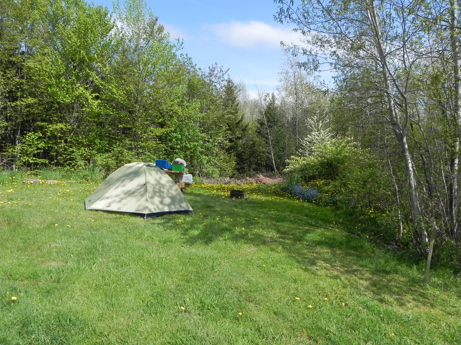 Dave and Lindsay in Canada: From Summerside, PEI to Newfoundland