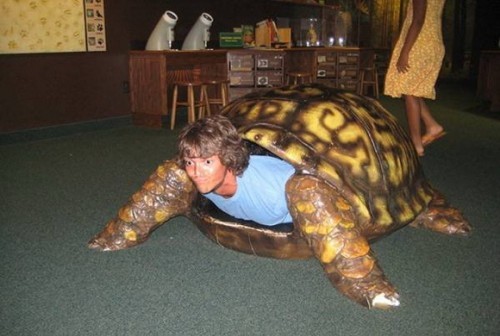 2leeps: Human Turtle pic