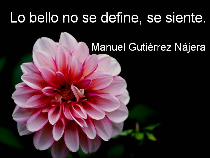 Manuel Gutiérrez Nájera: ~ B I O G R A F I A