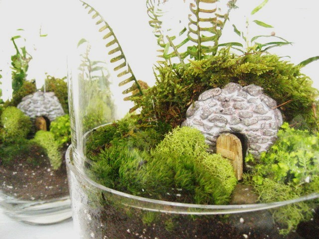 Boxing Rabbit: Finished Terrariums with Hobbit Houses