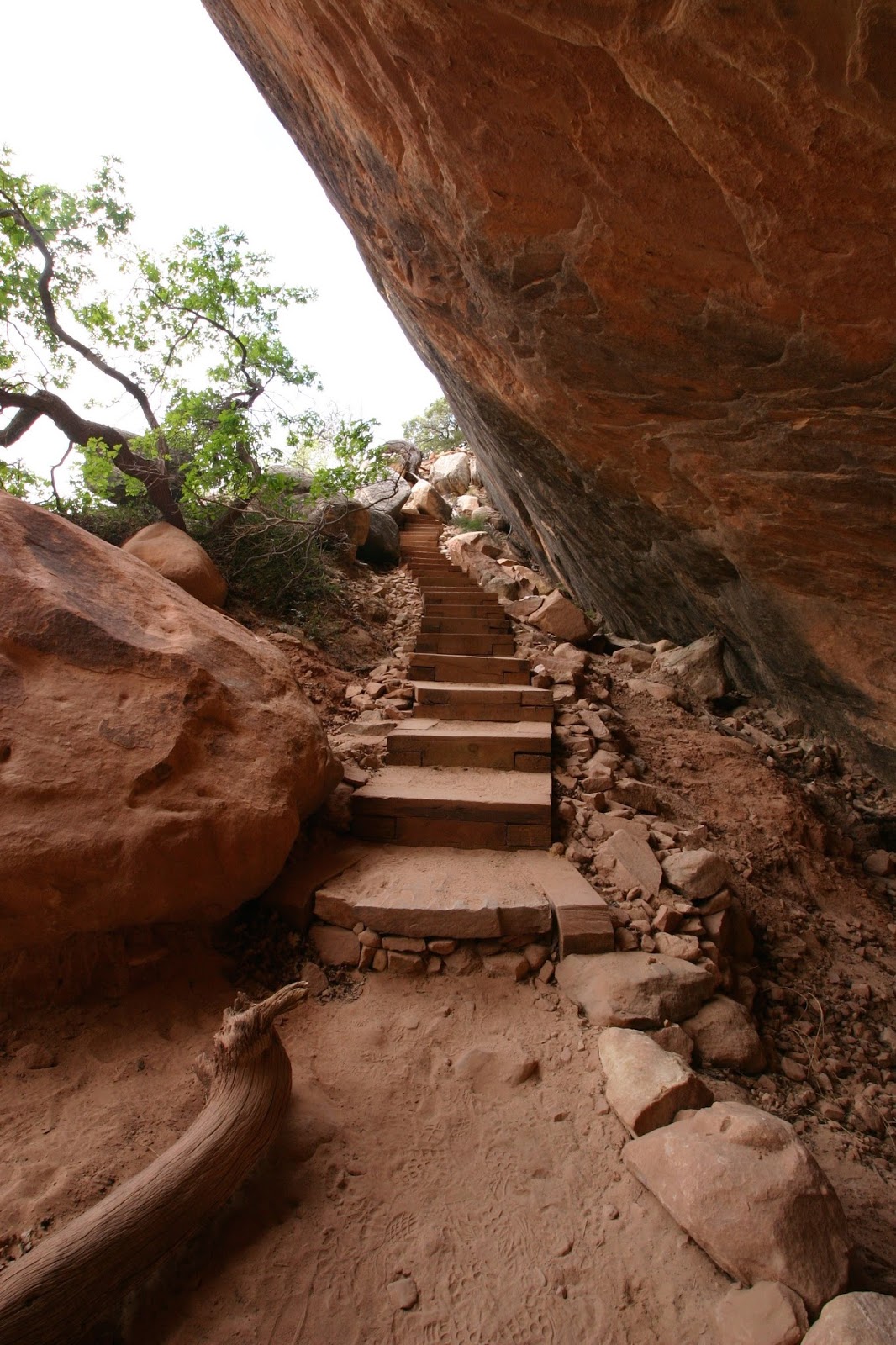Running From Moose: Natural Bridges National Monument: A River Runs ...