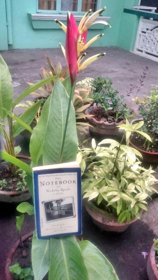 A Walk to Remember: The Notebook