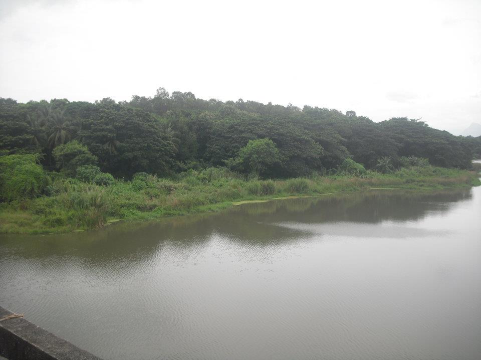 GOVT COLLEGE CHITTUR STUDENTS TRYST FOR SHARING VIEWS ,INFORMATIONS AND ...