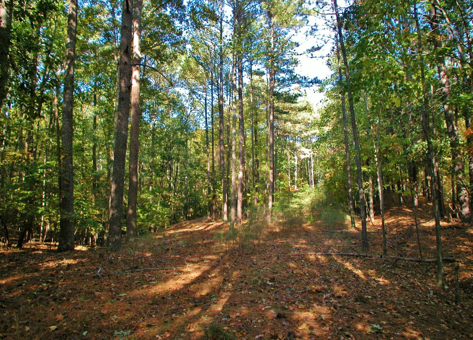 Lake Sidney Lanier Homes Blog: Unique Waterfront, Large Acreage Tract ...