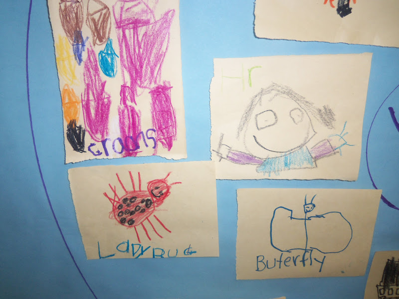 Mrs. Wood's Kindergarten Class: Touch/Texture