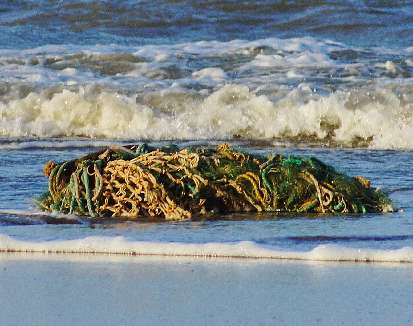 AMSTERDAMSE WATERLEIDINGDUINEN AWD: Vervuiling Zee