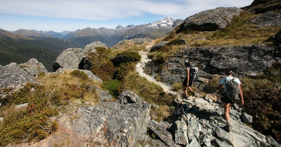 NZ Track Walking Tour Packages For a Smoother Journey