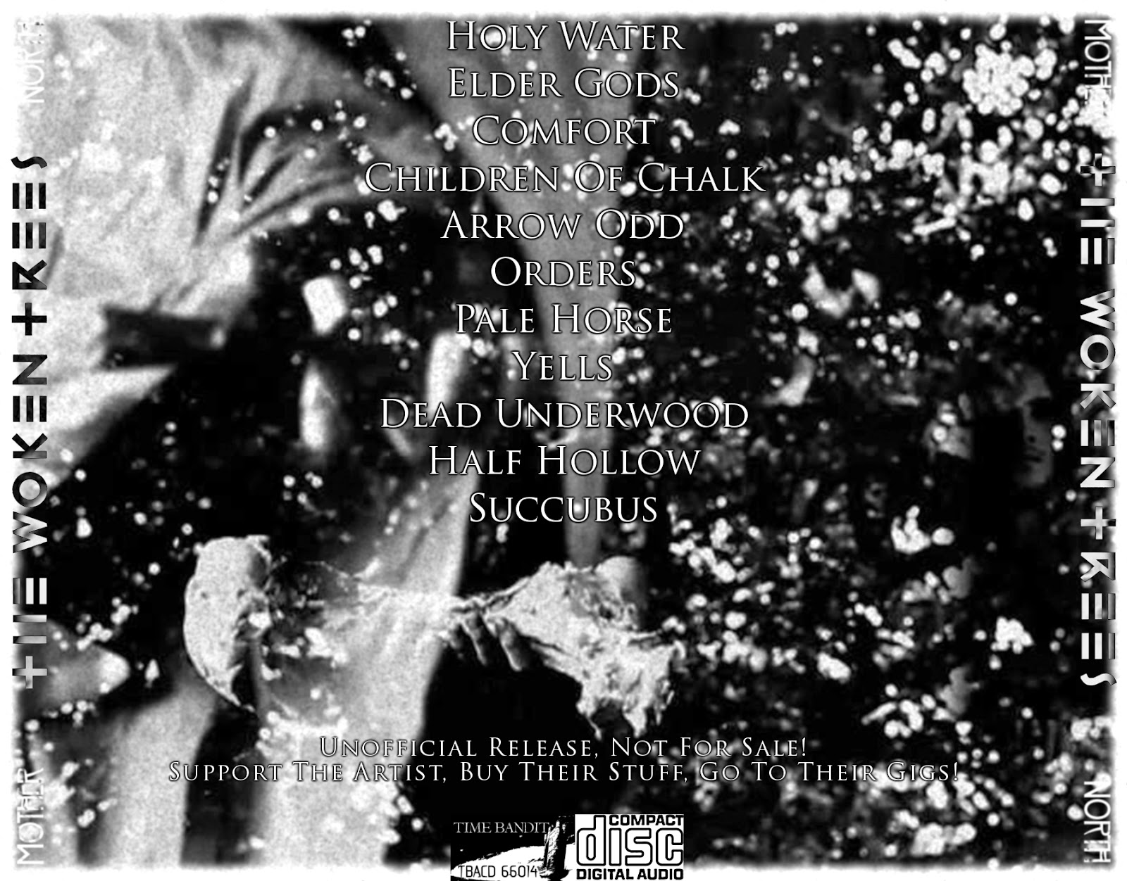 DARK CIRCLE ROOM: RE-UPLOAD: The Woken Trees - Wave Gotik Treffen ...