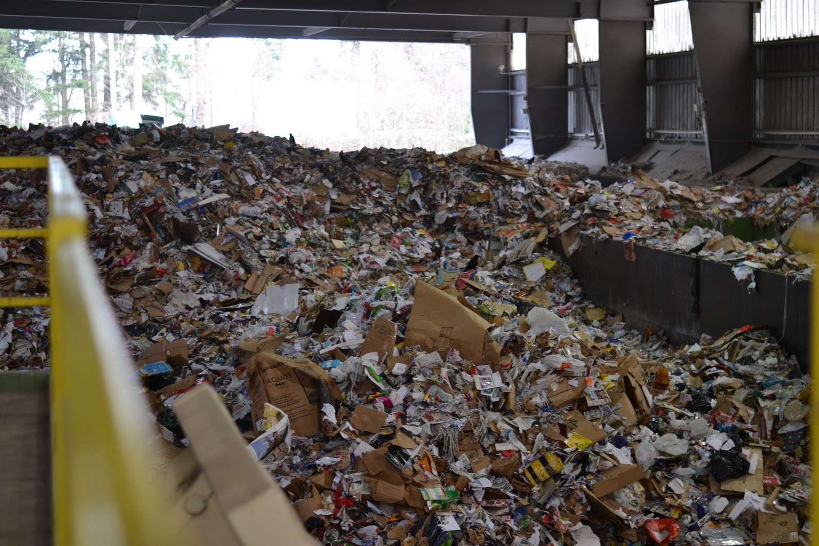 Eastside's Sustainable Solutions: Thinking Green at WM's Cascade ...