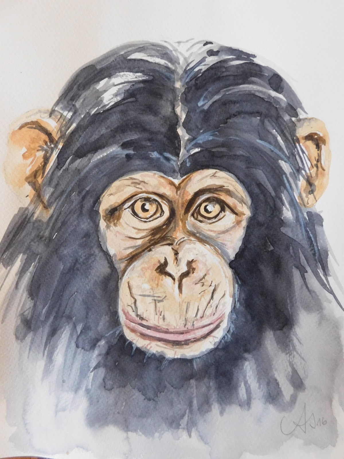 Farbenformerin: Affen im Portrait