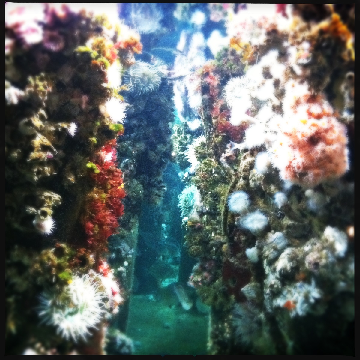 light color sound: ..way down inside the ocean