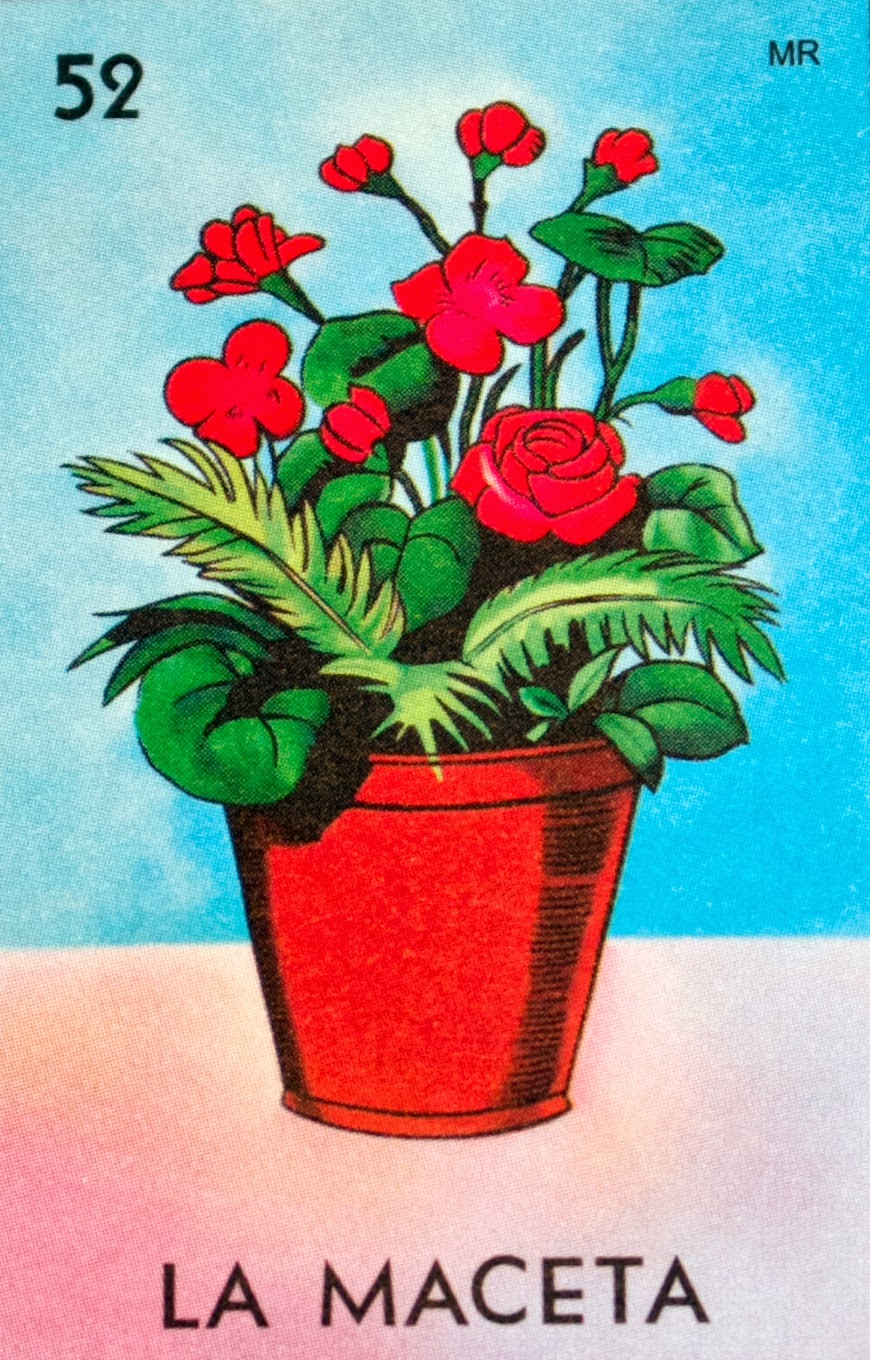 One Day, One Quote, One Photo.: La Maceta, Portland, OR