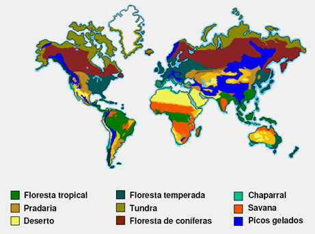 Observatório Histórico Geográfico: BIOMAS DO MUNDO