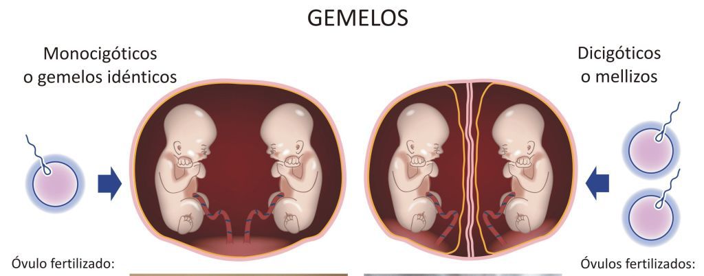 ¿Que es un embarazo multiple?