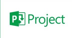 Microsoft Project Standard and Project Professional Major Difference