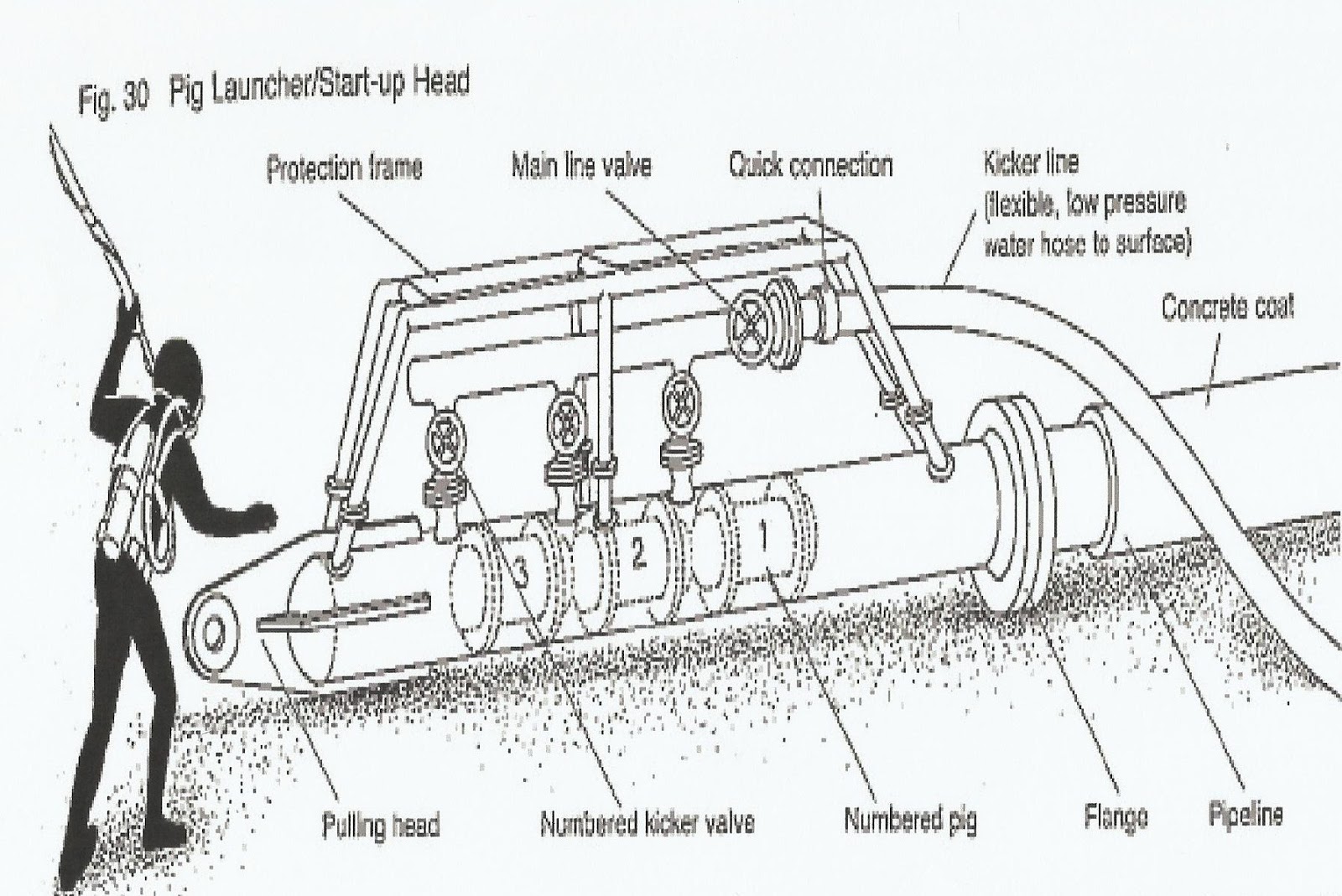 Aku Menyelam Untuk Hidup ...: November 2012