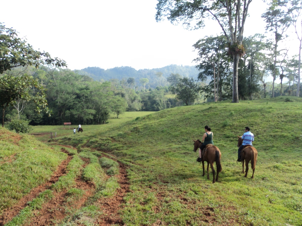 Donde el viento me llevó: Hun Nal Ye ( La casa del Dios de la Luna)