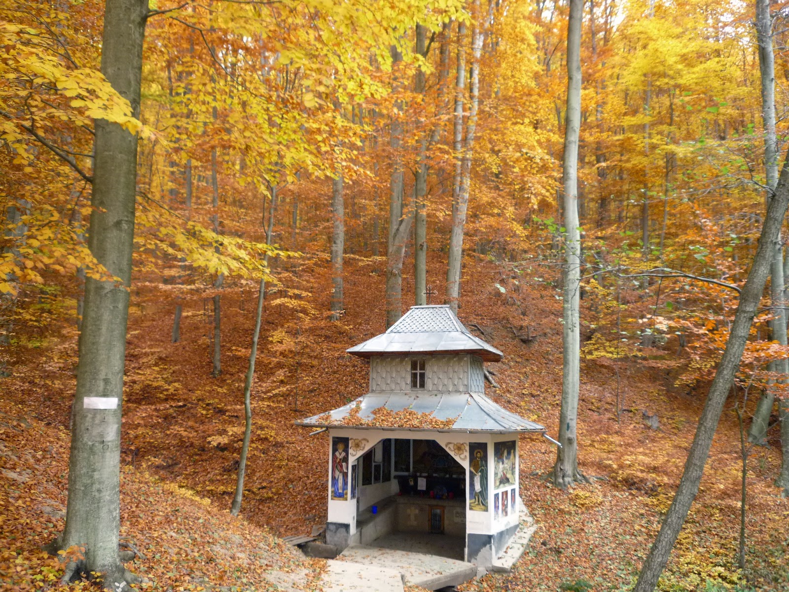 Manastiri din Romania: Bisericuta 7 izvoare, jud Ag