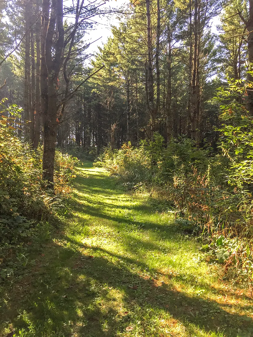 Hiking to Hanson Rock in the Kickapoo Valley Reserve