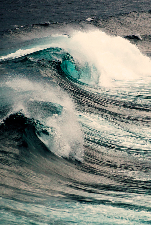 Kate's Fashion Closet