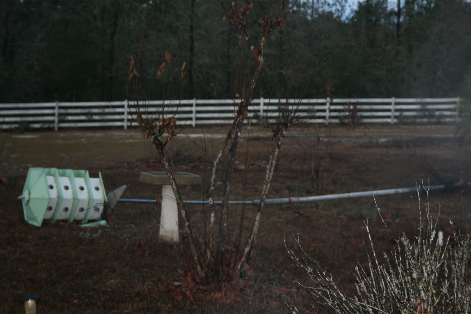 Challenged Survival: Bad Wind Storm