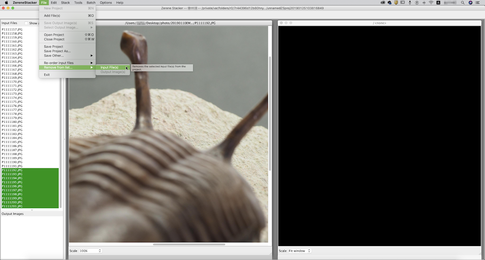 焦点合成テクニック：OLYMPUS OM-D E-M5 Mark II を使う（Zerene Stacker による合成手順）