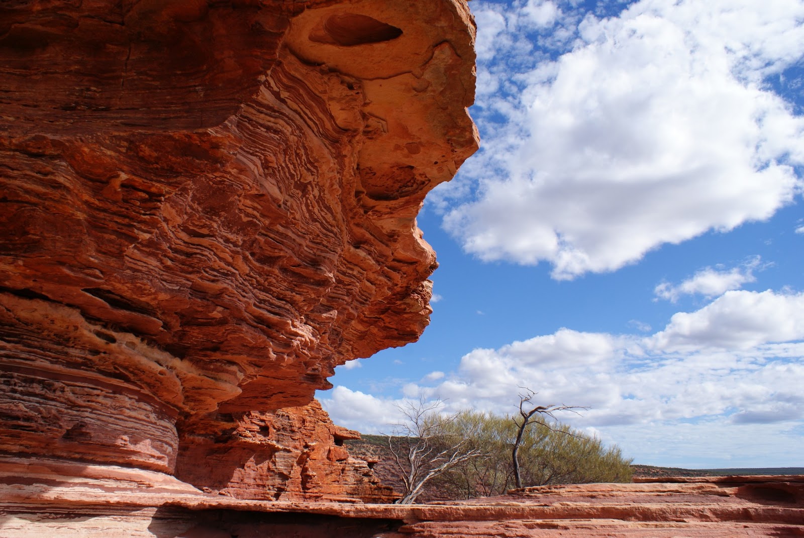 Amelia the explorer: Kalbarri, Western Australia