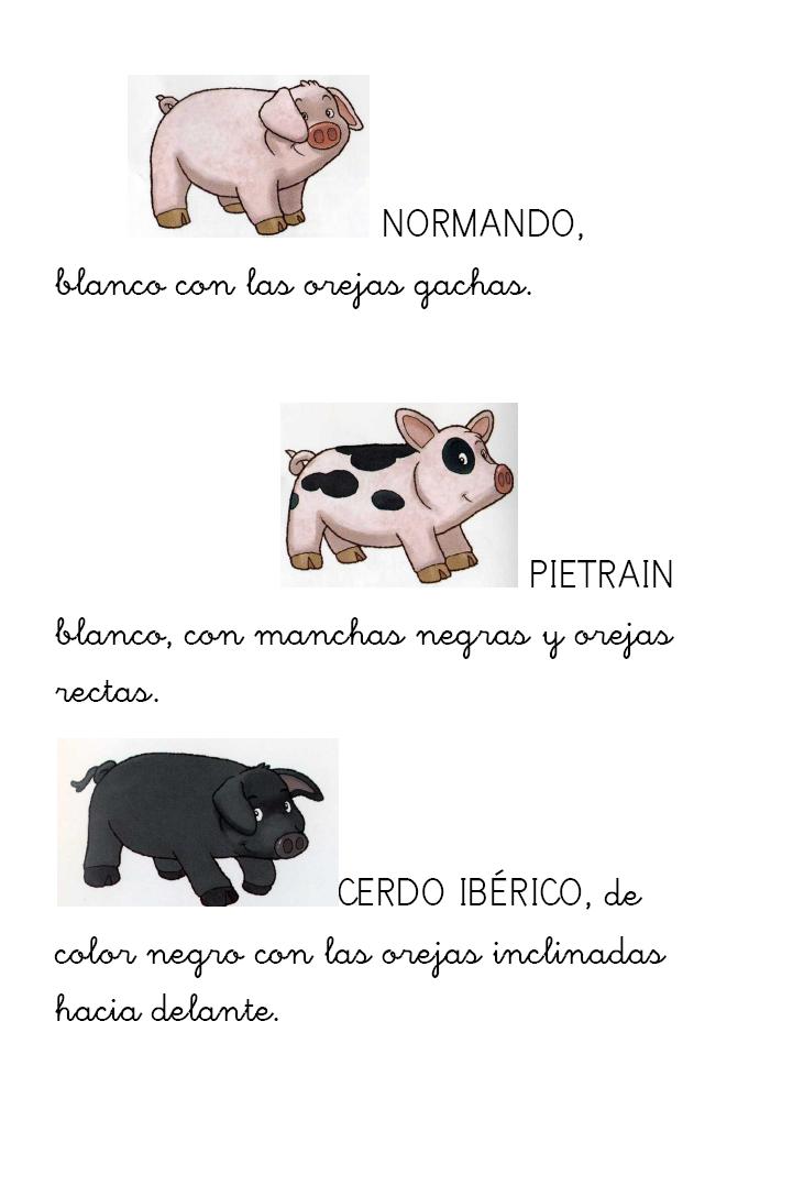 RECURSOS y ACTIVIDADES para Educación Infantil: Libro del CERDO