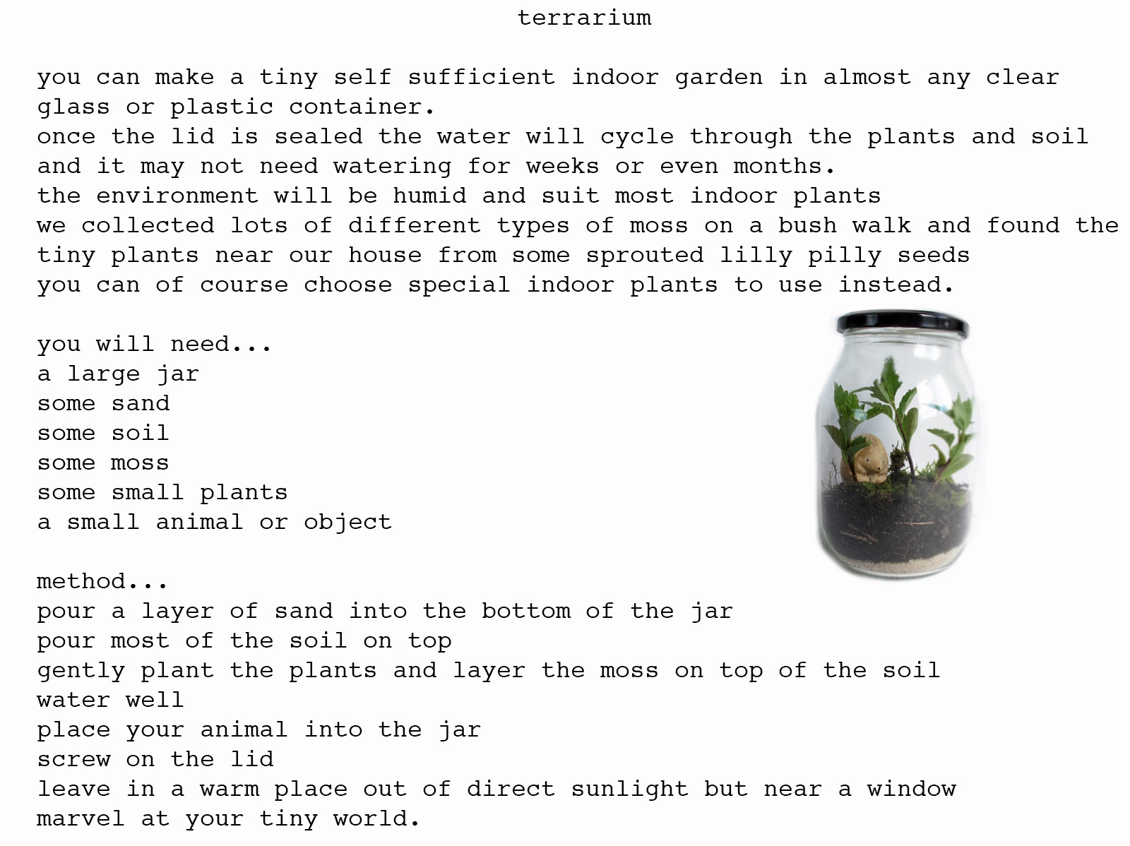 The Academy of Gentle Arts: terrarium