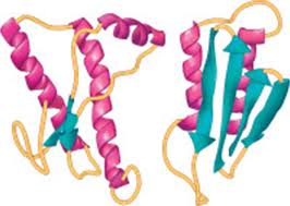Choroby prionowe i charakterystyka prionów ~ Wasze-Zdrowie