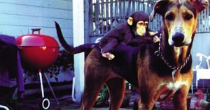 Sonic Bleach: Thermadore - Monkey on Rico (1996)