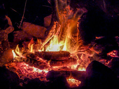 NEW SAVANNA: Fire in life and animation