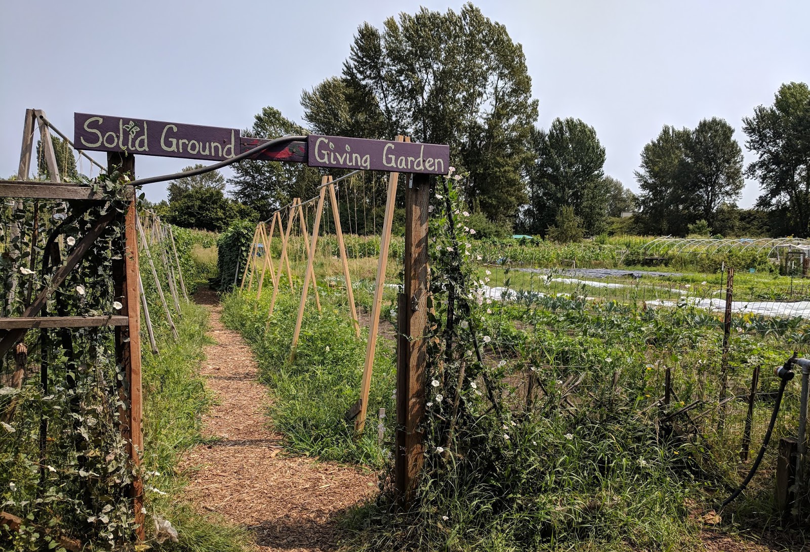 Eden By The Bay: Fall Festival at Marra Farm